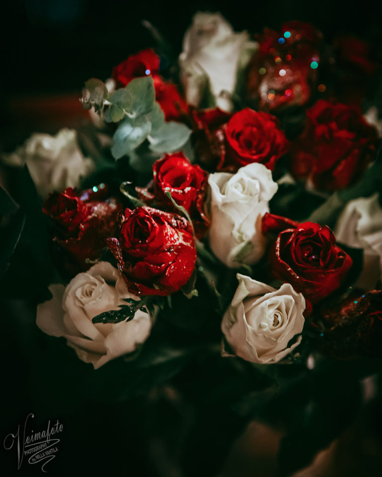 HBD-30 – Voima-Vahtila