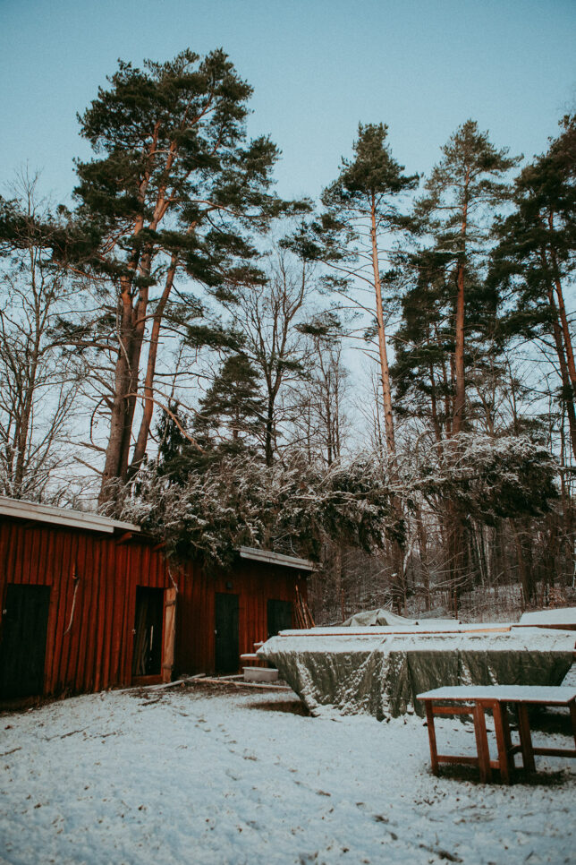 Kun talo palaa, puu kaatuu piharakennuksen päälle, pressutalli hajoaa ...